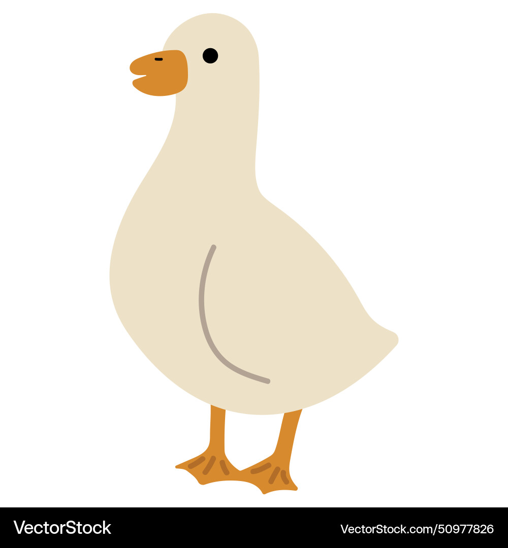 Duck white single 40 Royalty Free Vector Image