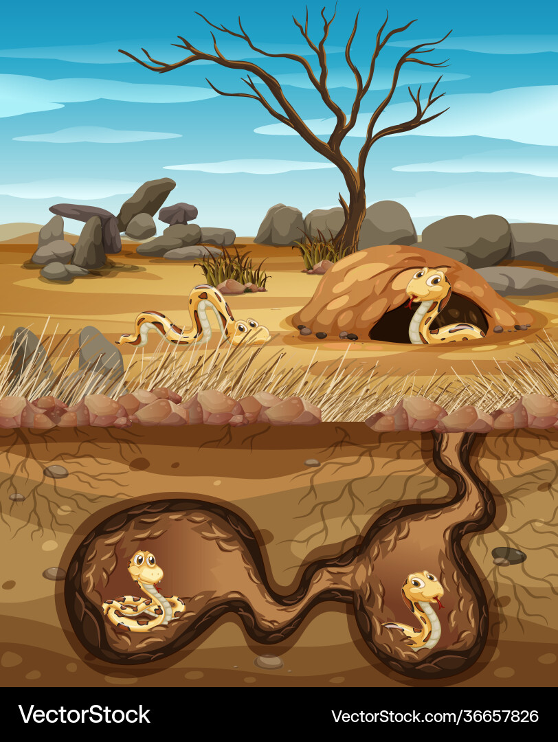 Underground animal hole with many snakes Vector Image