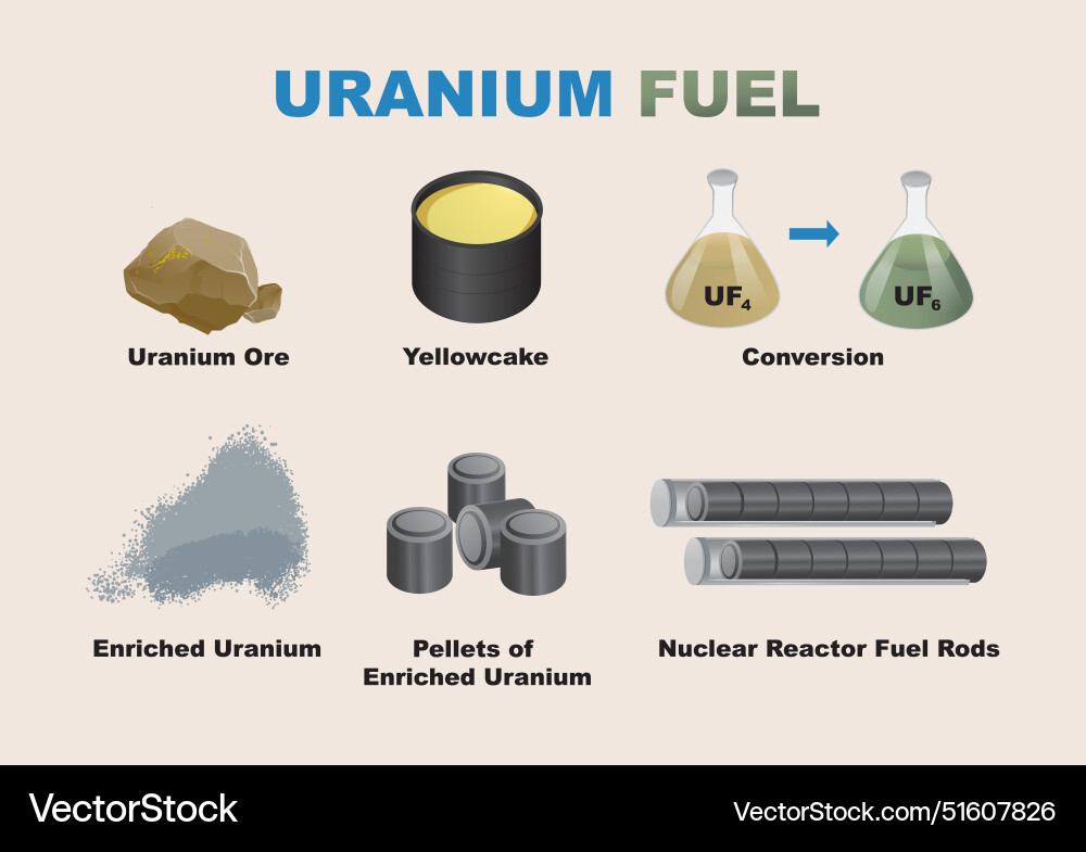 Uranium fuel stages Royalty Free Vector Image - VectorStock