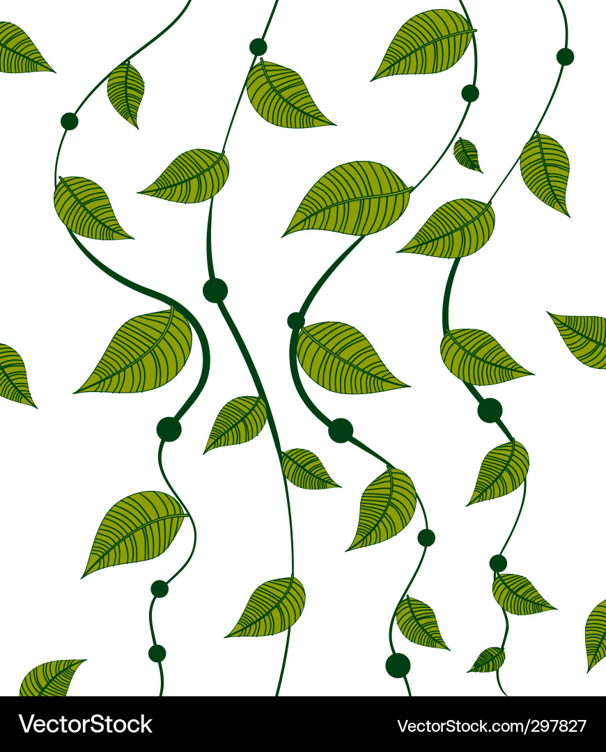 Elegant Vine Pattern Royalty Free Vector Image