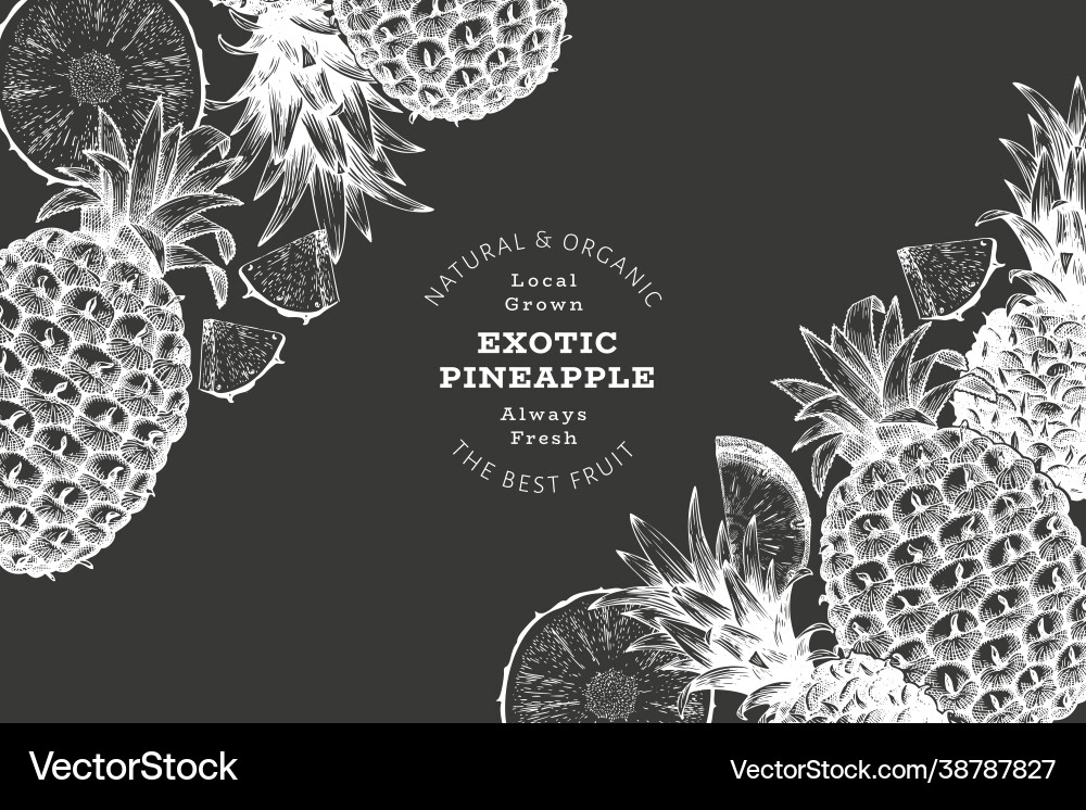 Hand gezeichnete Skizze Stil Ananas Banner bio Vektorbild