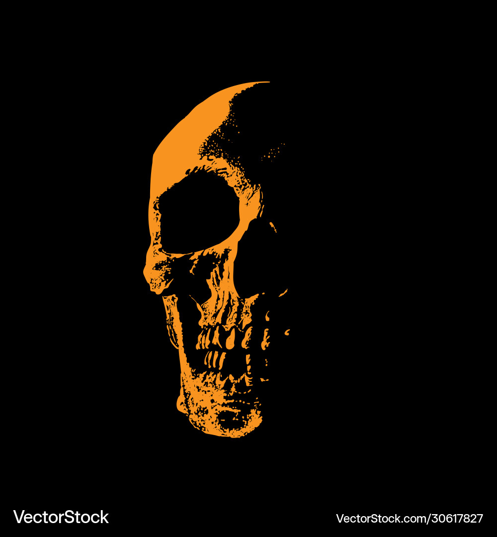 Skull portrait silhouette in contrast backlight Vector Image