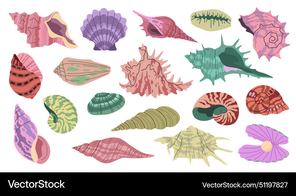 Tropical seashell beach color shells underwater Vector Image