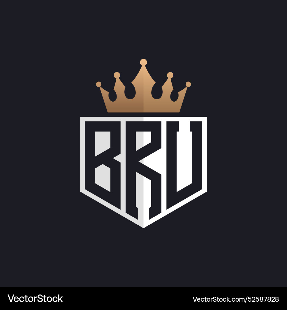 Luxury bru logo with crown elegant initials Vector Image