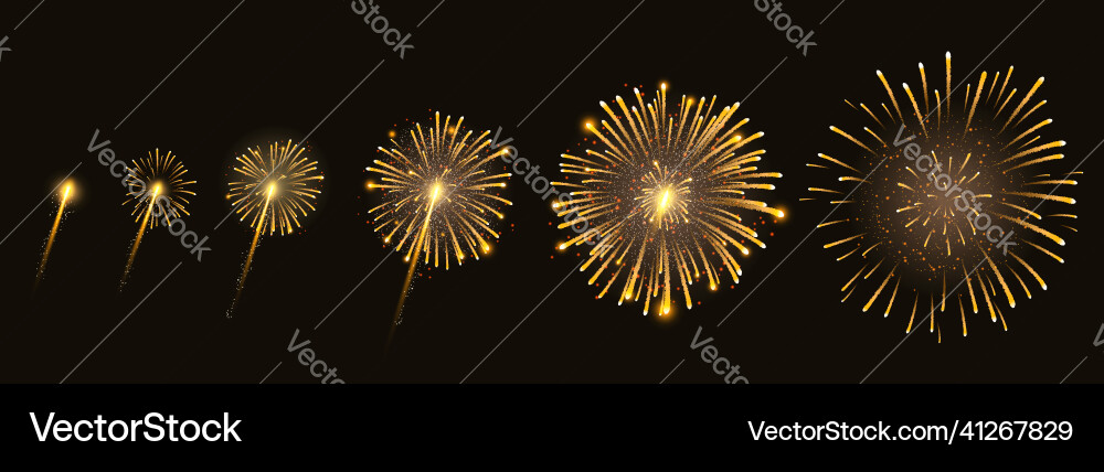 Fireworks bursting in various shapes firework Vector Image