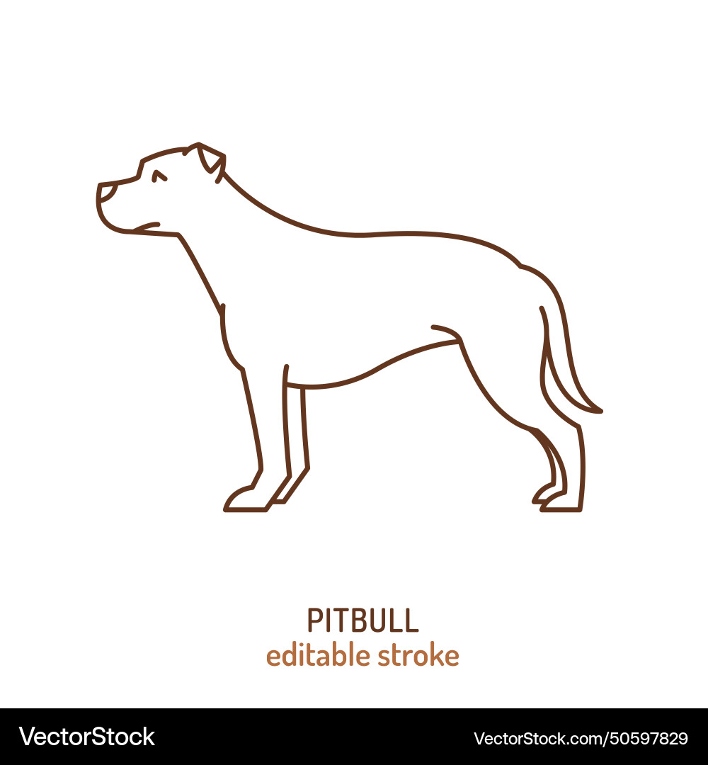 Pitbull Outline