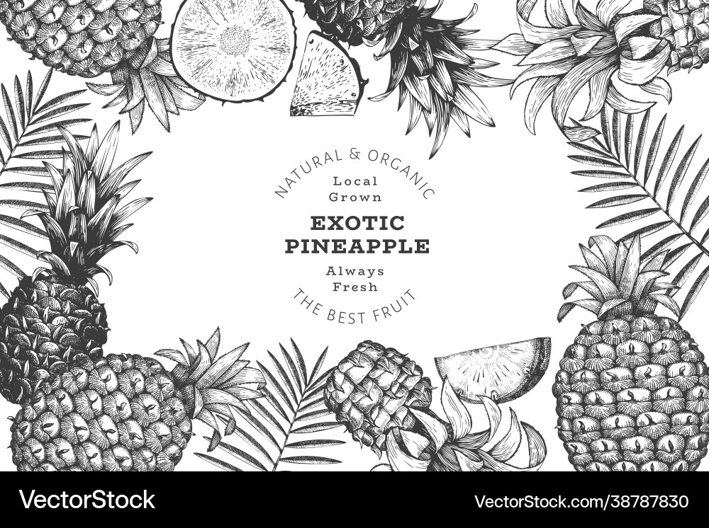 Hand drawn sketch style pineapple banner organic Vector Image
