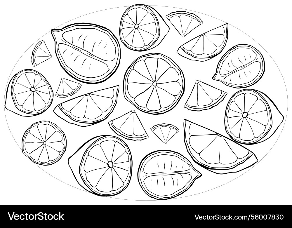 Lemon slices oval composition black and white Vector Image