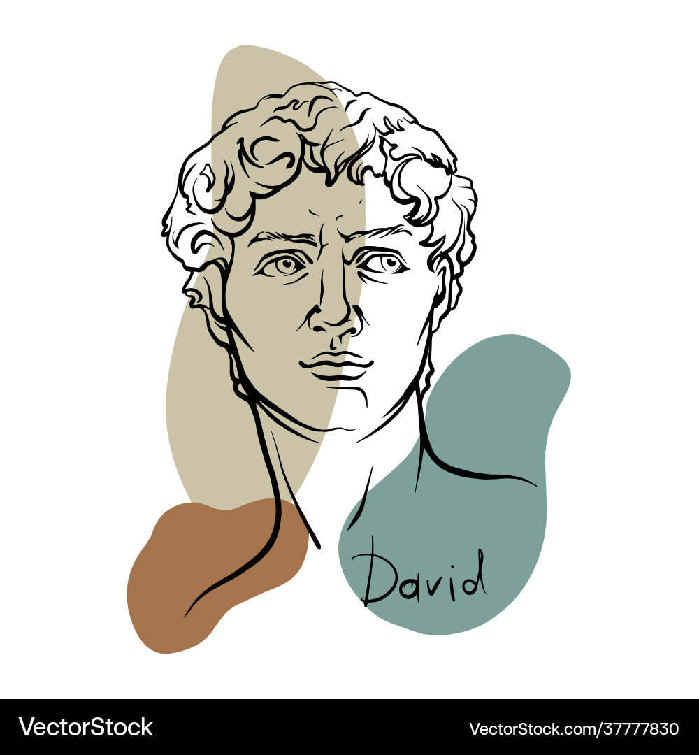 Line art head david michelangelo 3 Royalty Free Vector Image