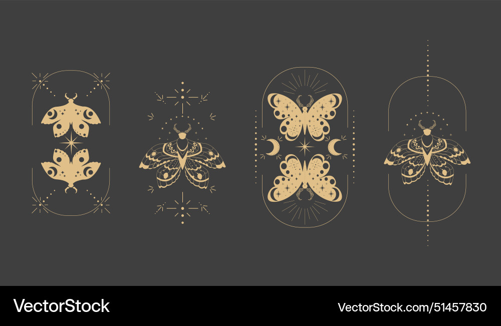 Magic sacred decoration cover esoteric frame Vector Image