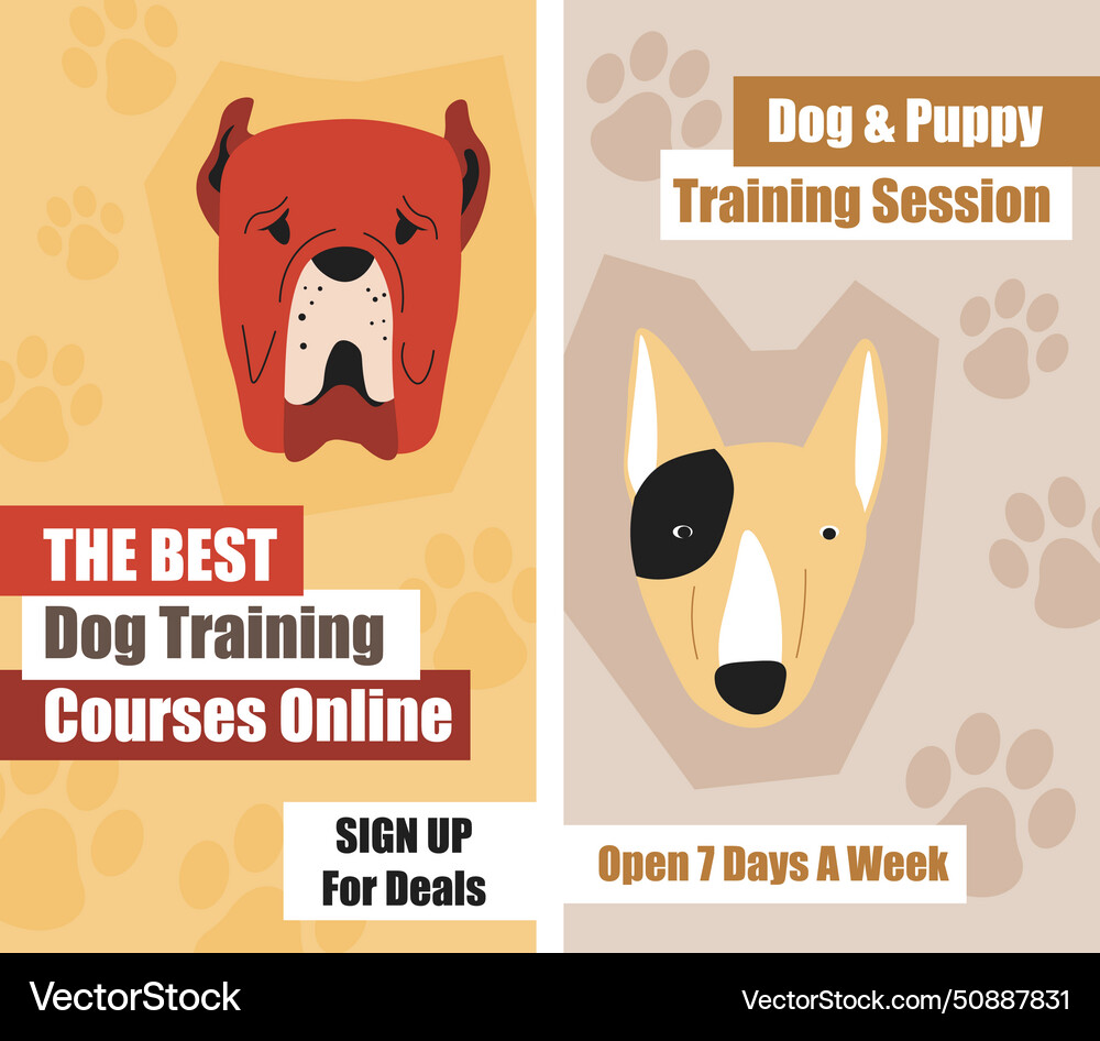 Dog and puppy training session courses online Vector Image