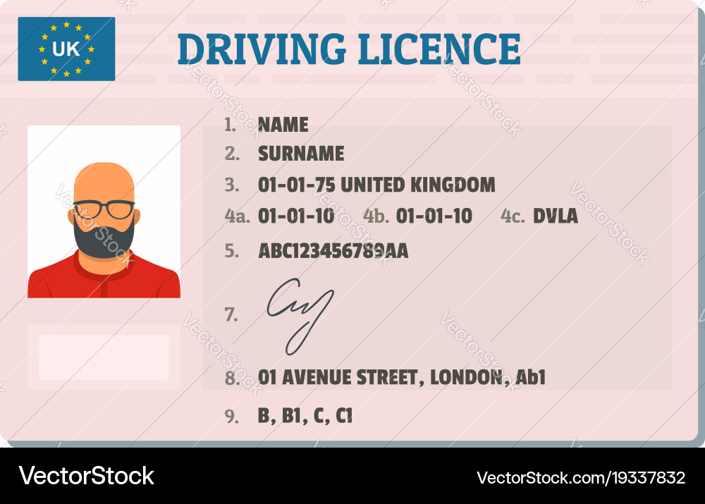 Driving License Icon - Flat Style Royalty Free Vector Image