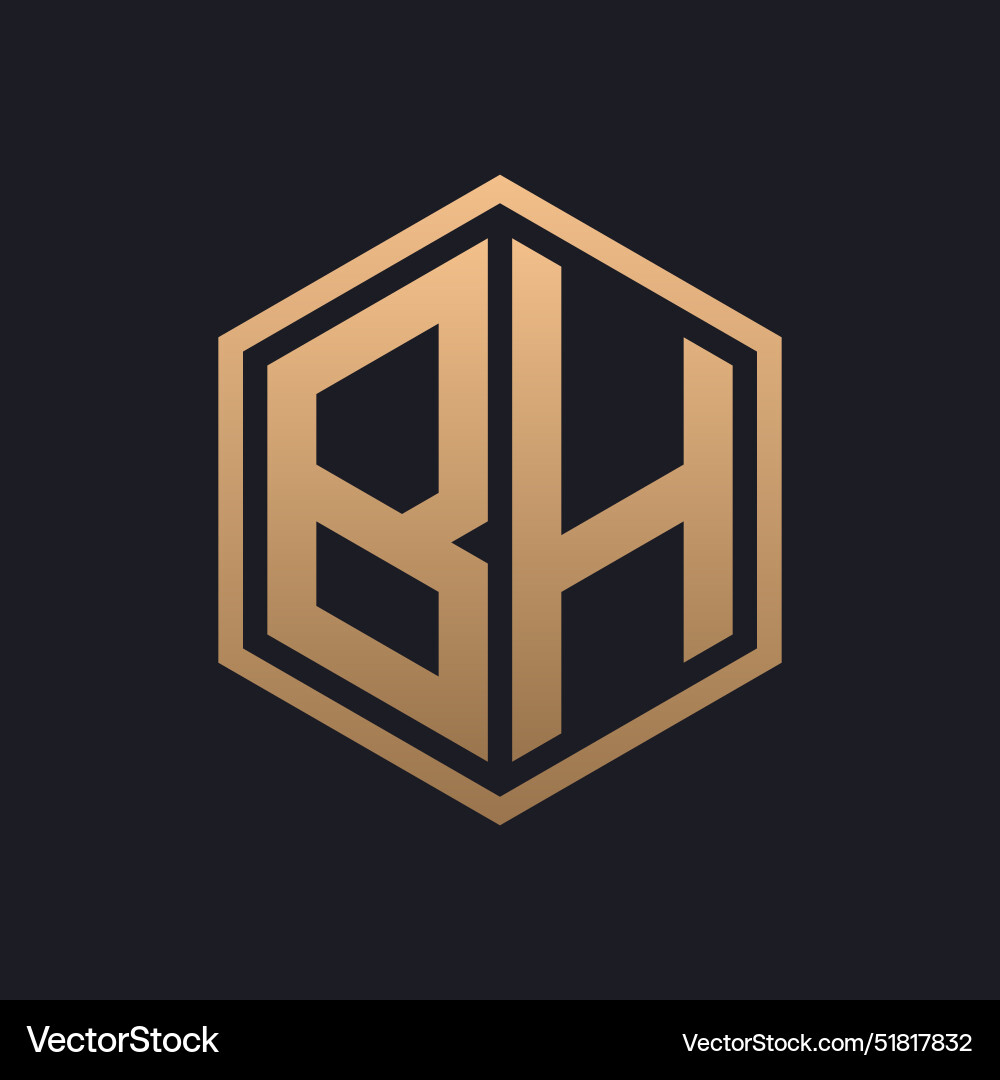 Elegant hexagon letter bh logo design initial Vector Image
