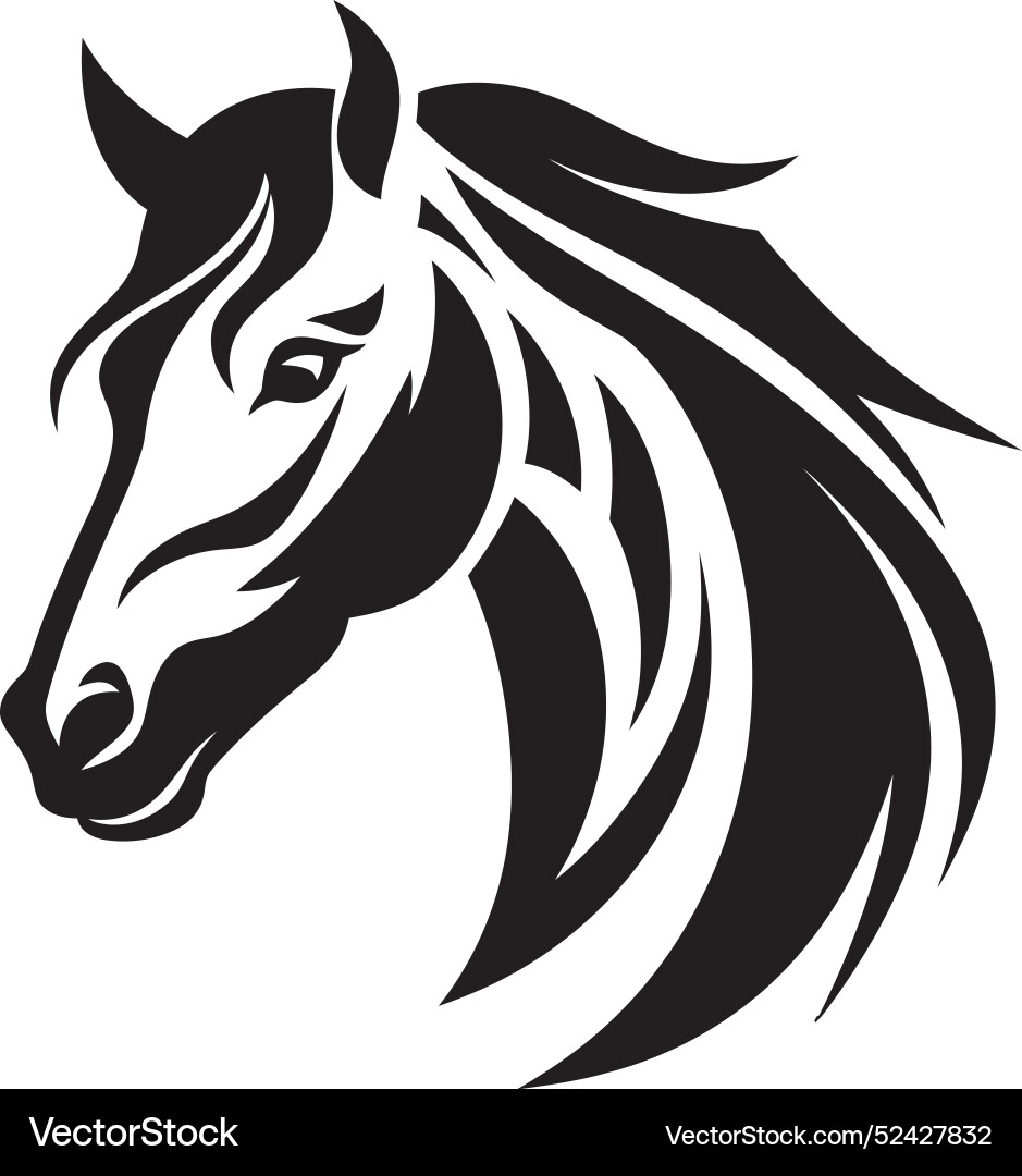 Graceful movements monochrome horse equine forms Vector Image