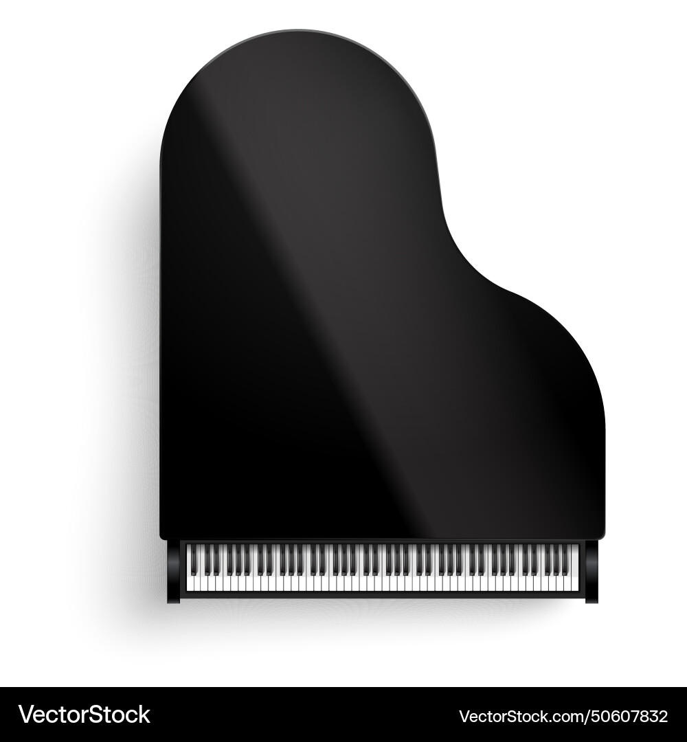 Realistic grand piano Royalty Free Vector Image