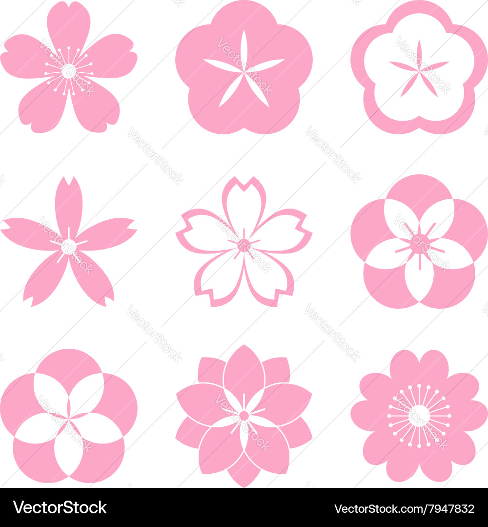 Sakura Blossom Icon Set - Floral Collection Vector Image