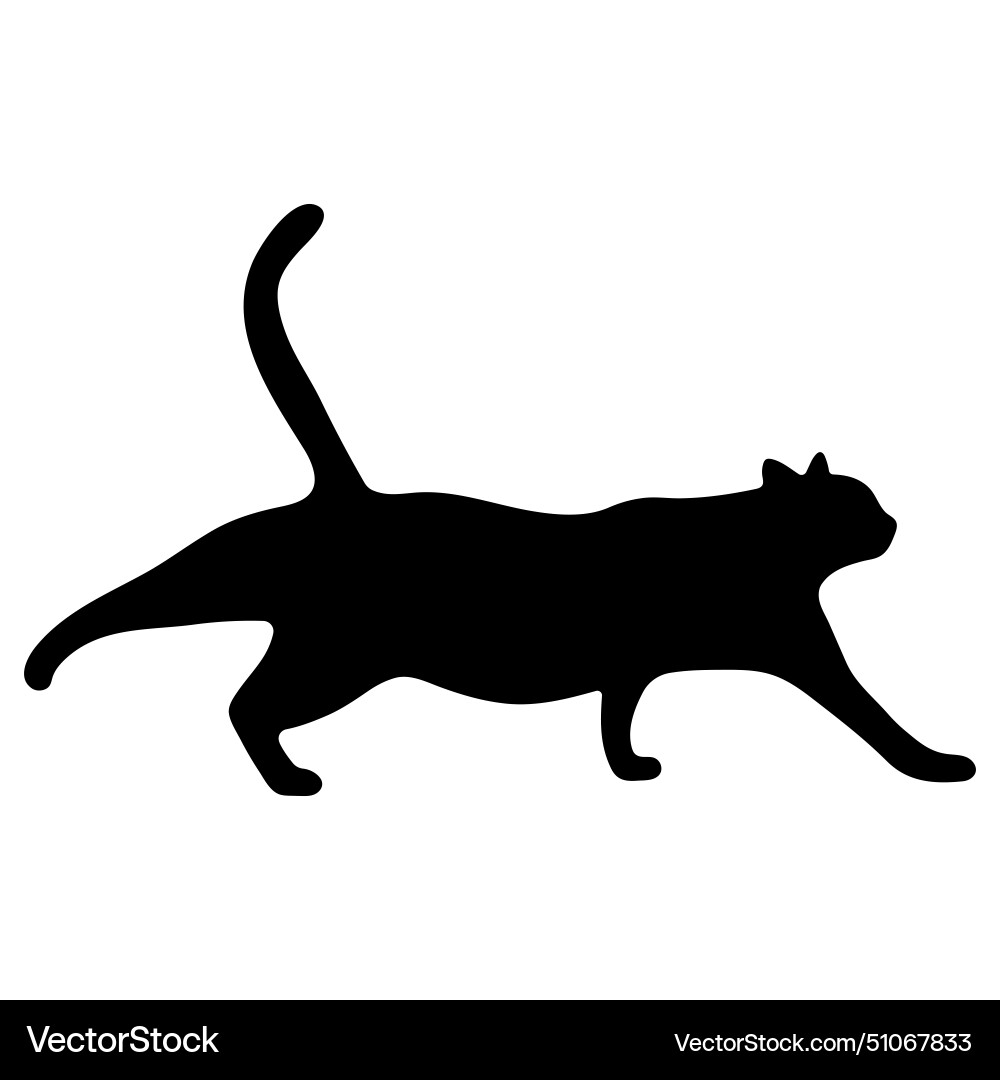 Cat shadow single 17 Royalty Free Vector Image