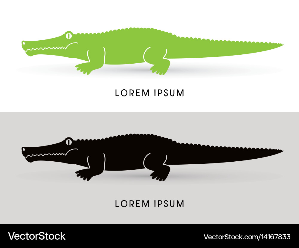 Crocodile side view Royalty Free Vector Image - VectorStock