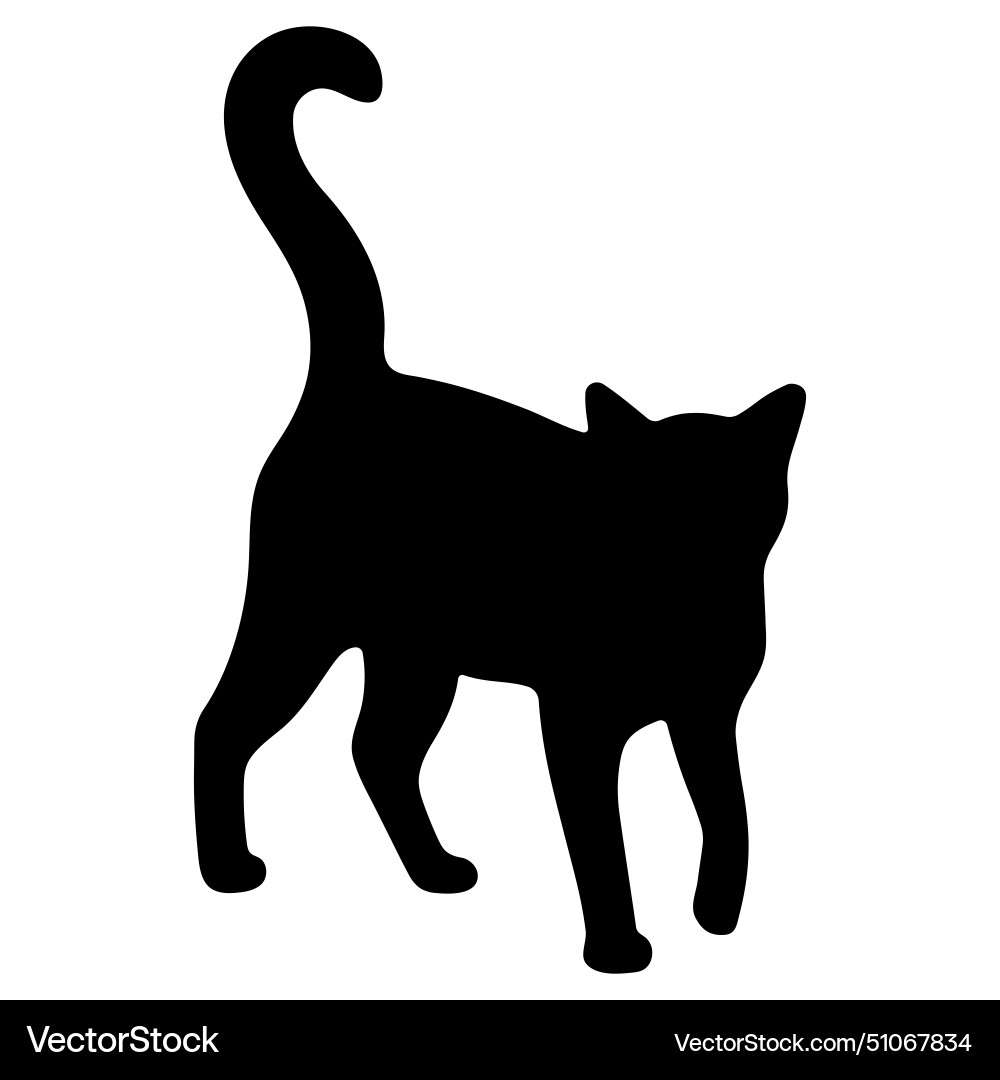 Cat shadow single 18 Royalty Free Vector Image