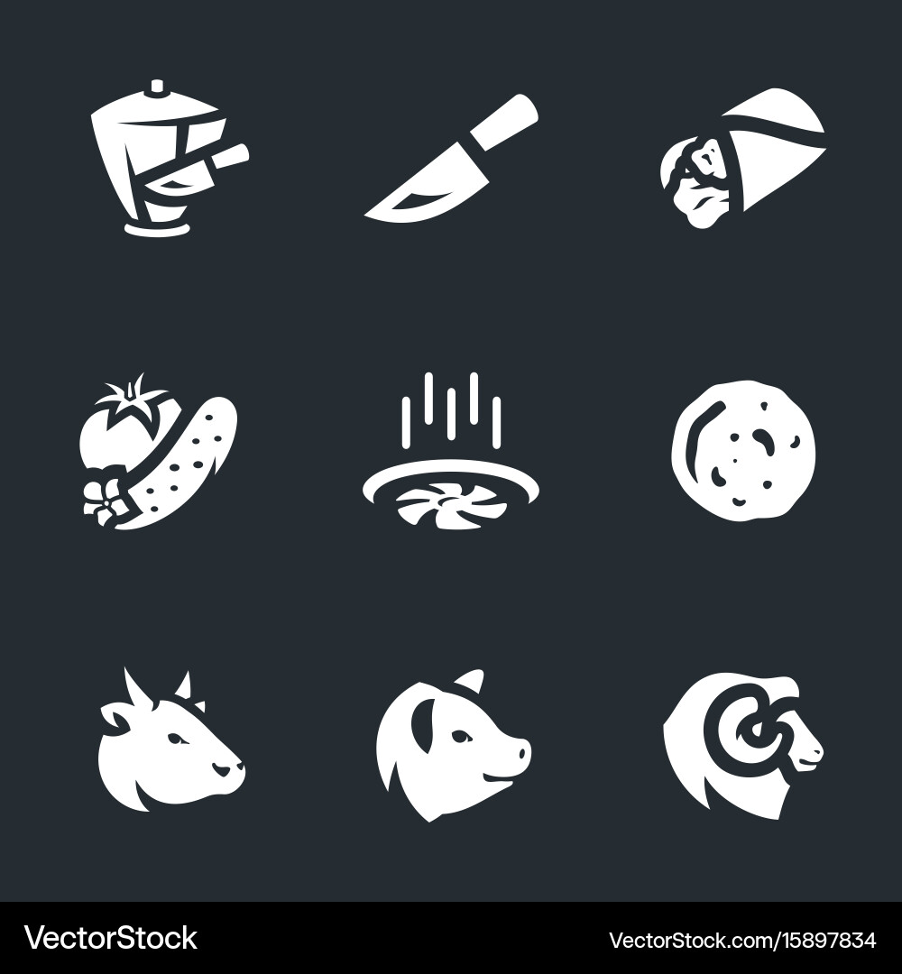 Set of shawarma icons Royalty Free Vector Image