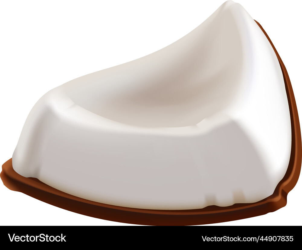 Coconut slice realistic composition Royalty Free Vector