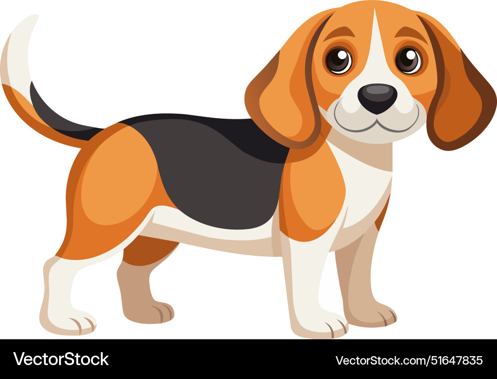 Cute beagle full body high detail b Royalty Free Vector