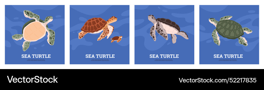 Educational sea turtle posters set Royalty Free Vector Image
