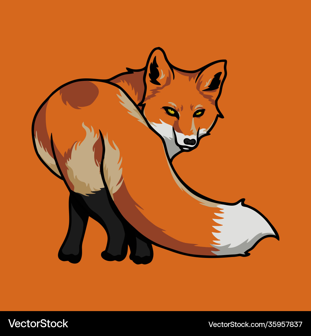 13 fox Royalty Free Vector Image - VectorStock