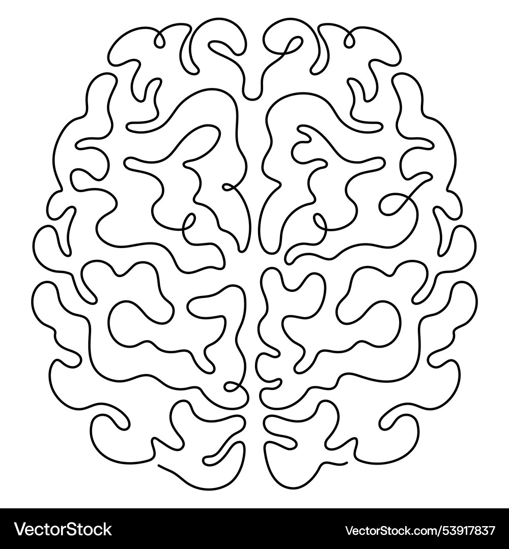 Brain human organ neurology one line drawing Vector Image