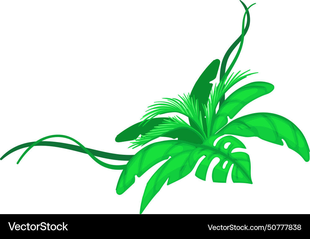 Green tropical corner exotic floral border Vector Image
