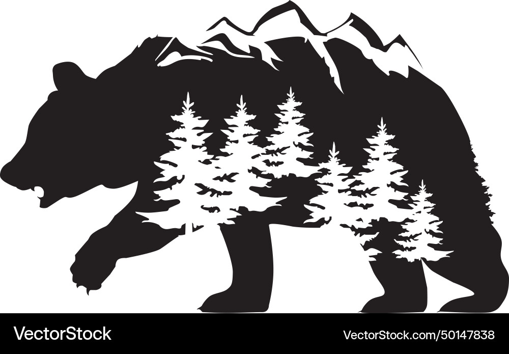 Wild animal bear Royalty Free Vector Image - VectorStock