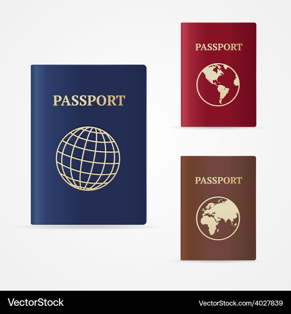 Passport set flat design Royalty Free Vector Image