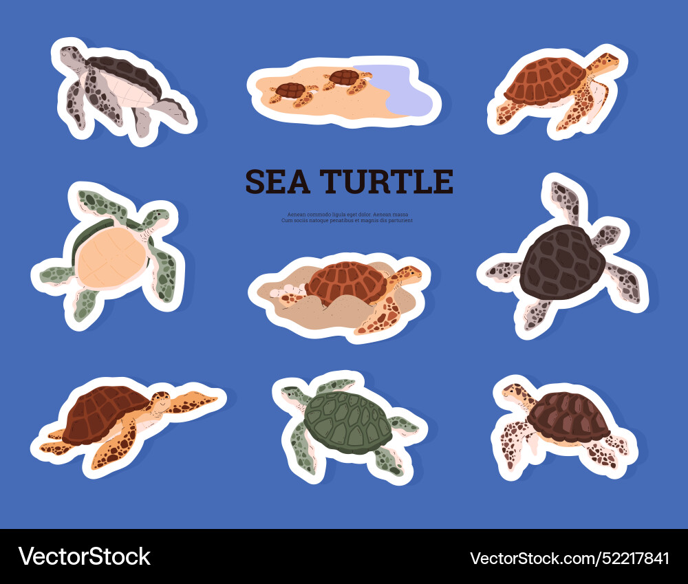 Sea turtle sticker collection Royalty Free Vector Image