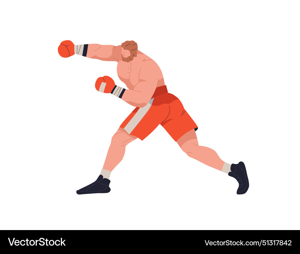 Boxer fighter boxing professional box athlete Vector Image