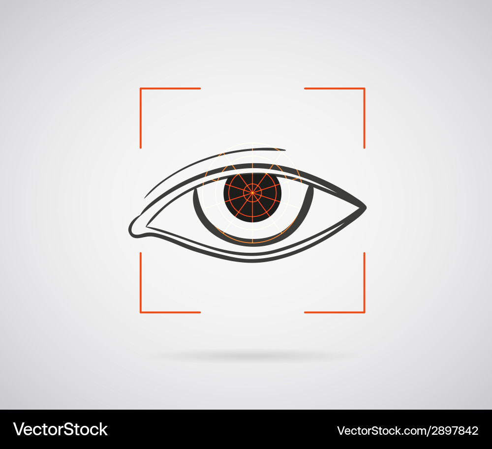 Eye identification Royalty Free Vector Image - VectorStock