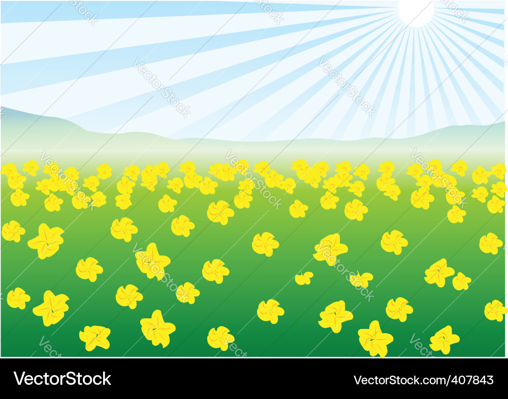 Field of yellow flowers Royalty Free Vector Image