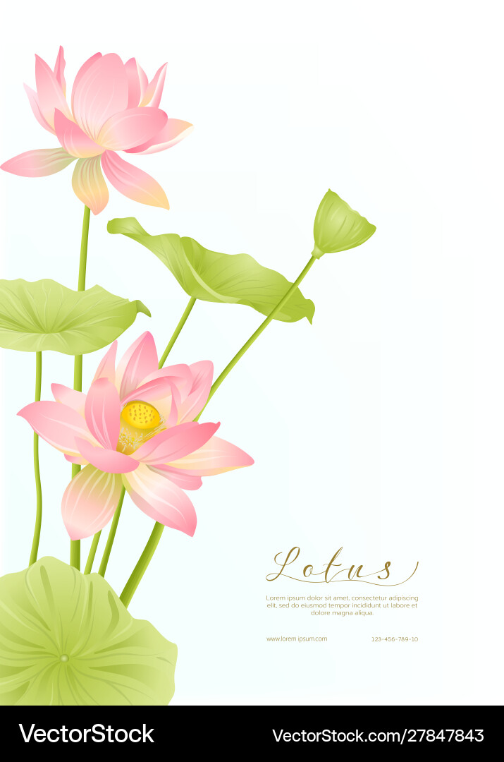 Lotus flowers template for wedding invitation Vector Image