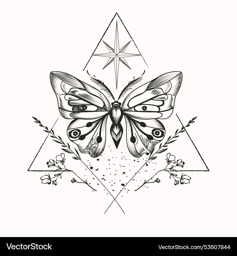 Boho with hand drawn butterfly Royalty Free Vector Image