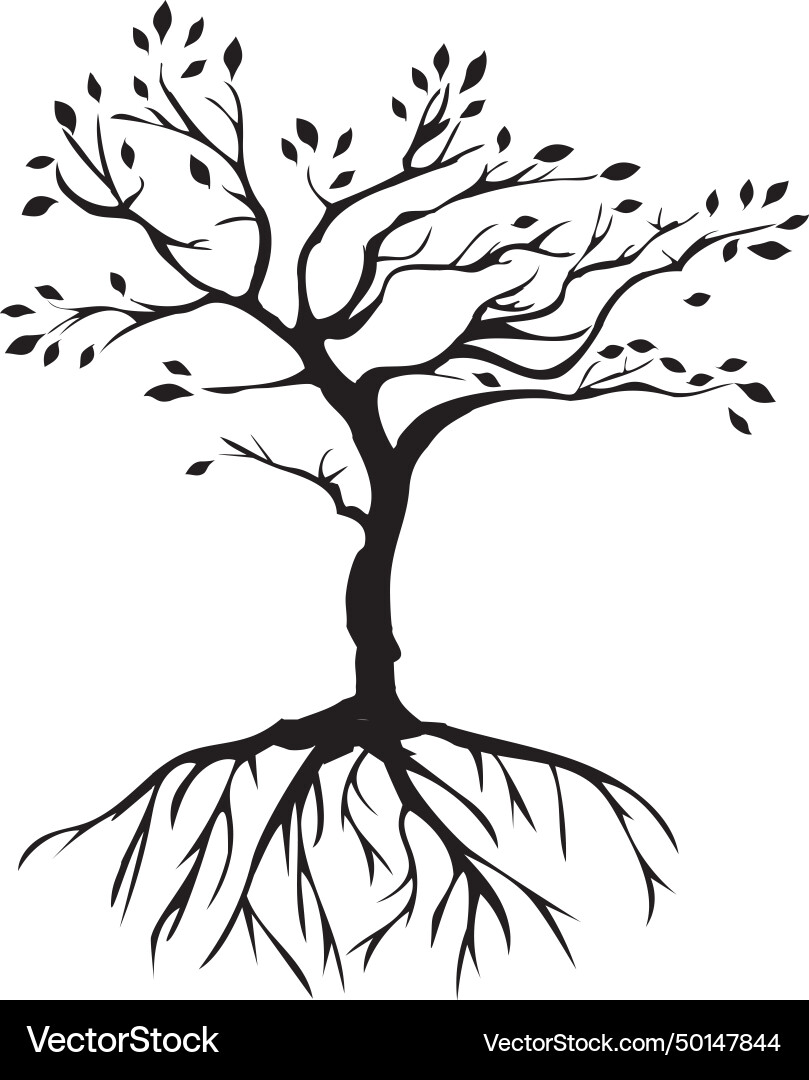 Family tree Royalty Free Vector Image - VectorStock