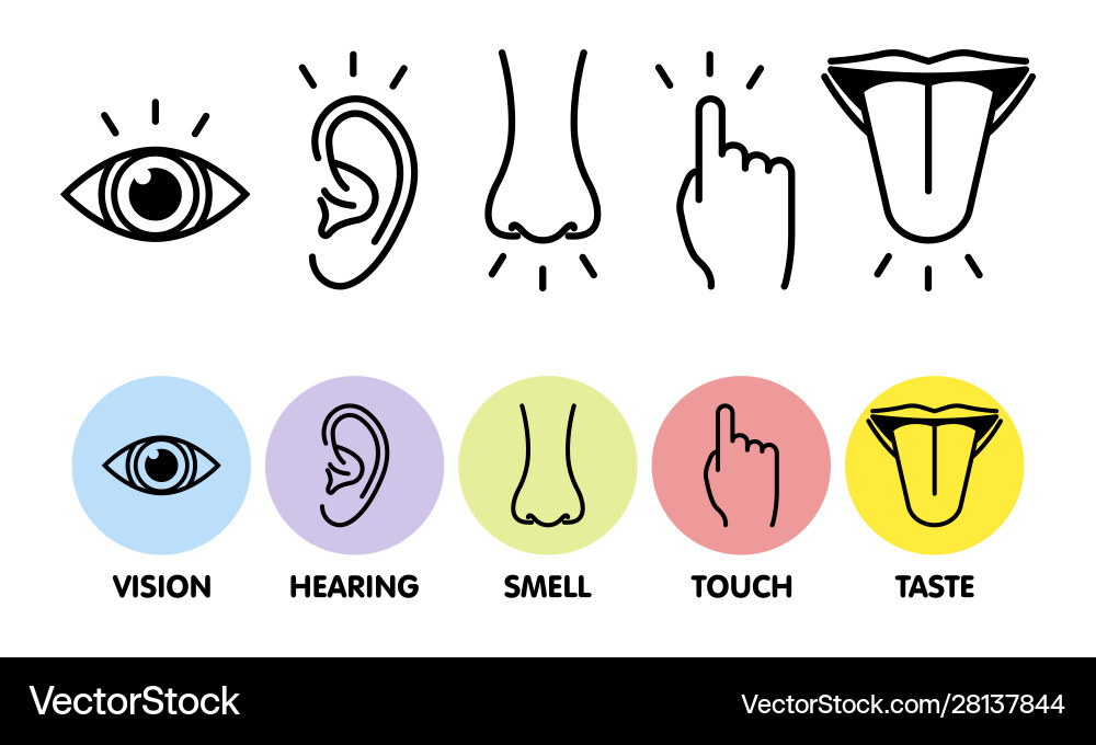 Human Senses Icon Set - Five Royalty Free Vector Image