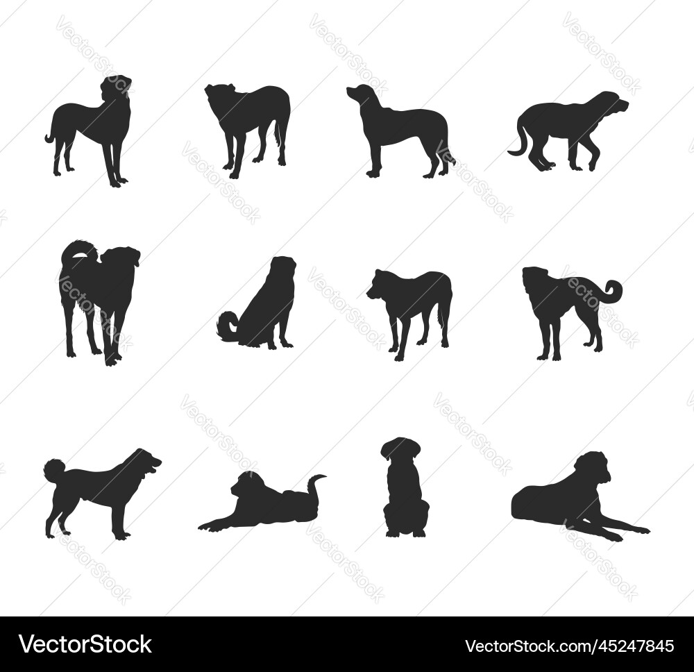 Anatolian shepherd dog silhouettes Royalty Free Vector Image