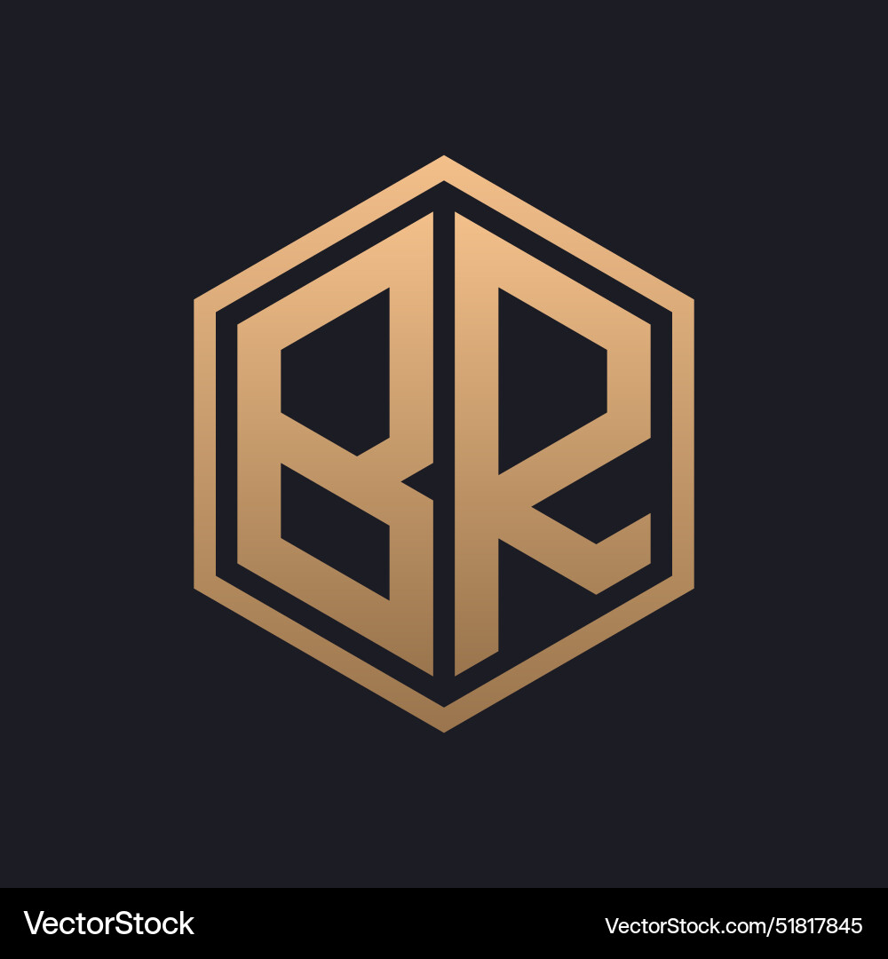 Elegant hexagon letter br logo design initial Vector Image