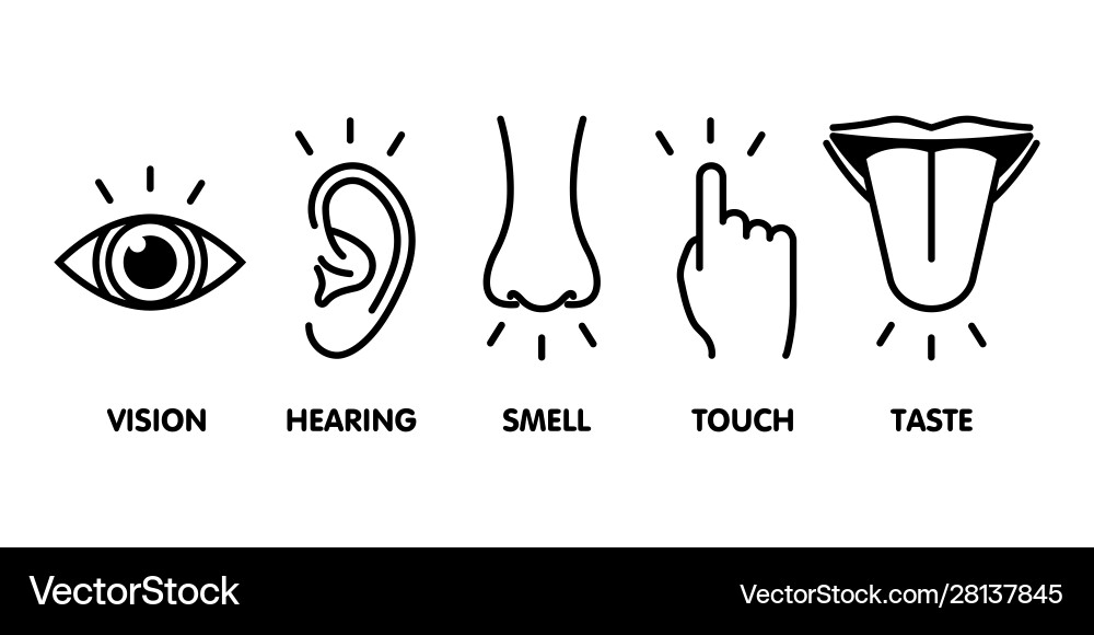 Human Senses Icon Set - Fünf Sinne Lizenzfreier Vektor
