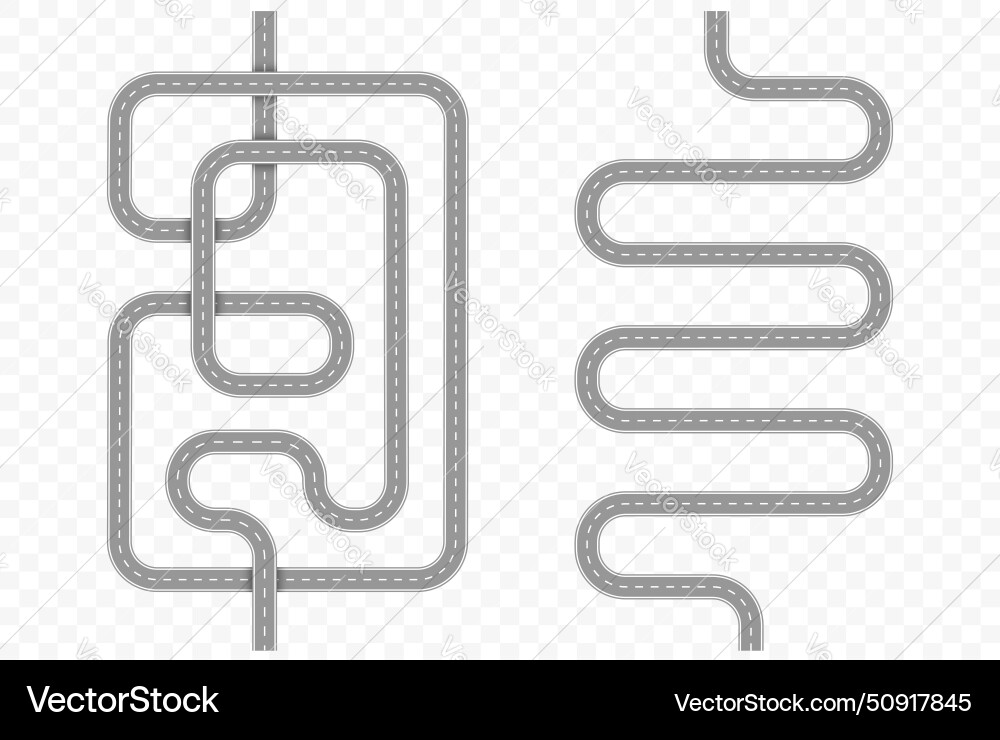 Road path with turns and crossroads Royalty Free Vector