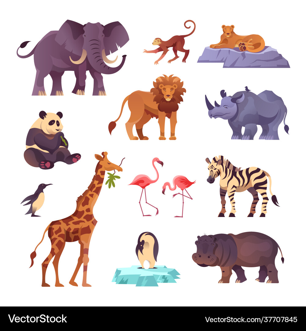 Zoo animals set Royalty Free Vector Image - VectorStock