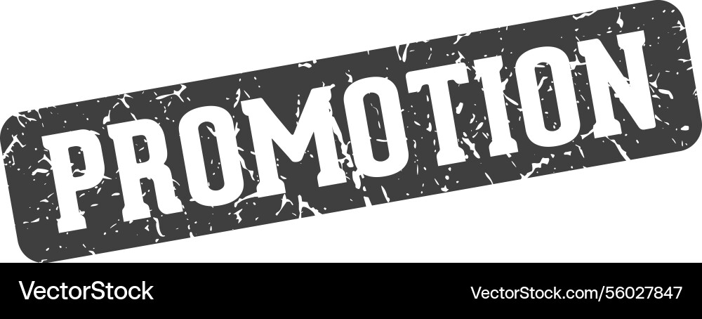 Promotion rectangular sign promotion stamp Vector Image