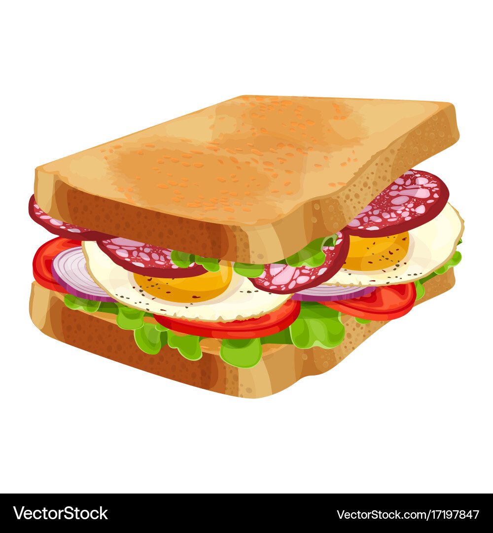 Toasted sandwich with green lettuce sliced Vector Image