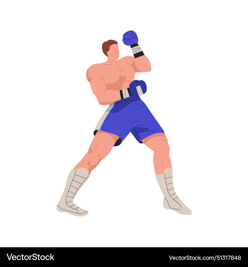 Boxer fighter professional box athlete Royalty Free Vector