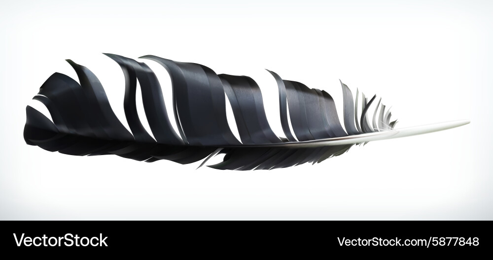 Feather Royalty Free Vector Image - VectorStock