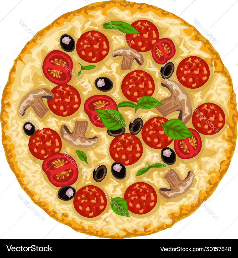 Pizza isolated on white Royalty Free Vector Image